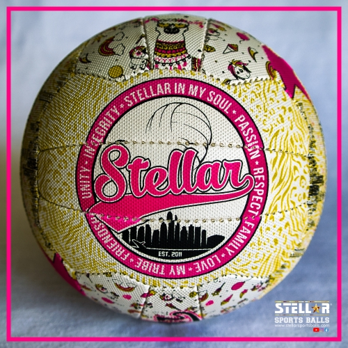 News and Events - Team Stellar