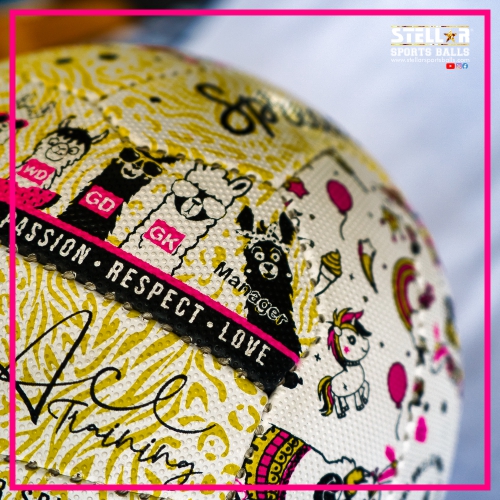 News and Events - Team Stellar