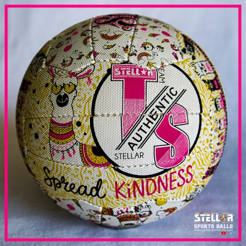 News and Events - Team Stellar