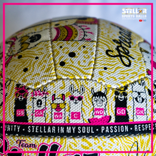 News and Events - Team Stellar