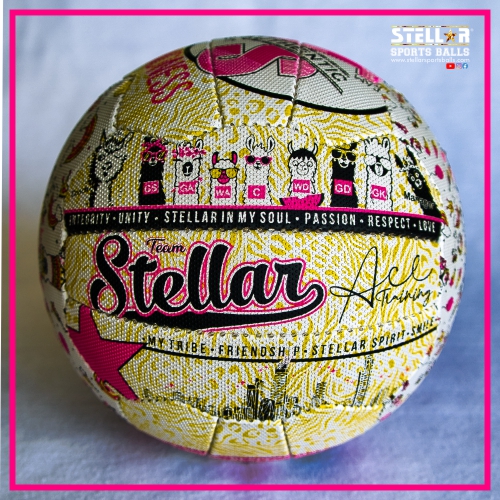 News and Events - Team Stellar