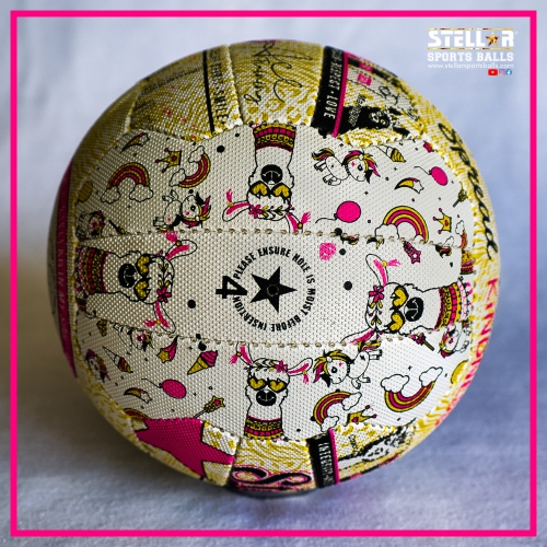 News and Events - Team Stellar